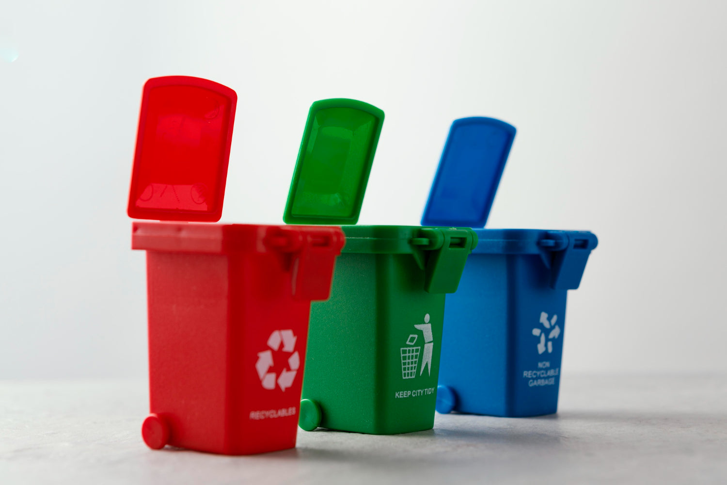 Trash vs Garbage: Which Bin Should You Use? - The OCCanitizer